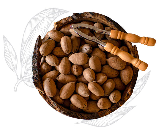 Signature In-Shell Pecans- Buy Online – Pearson Farm