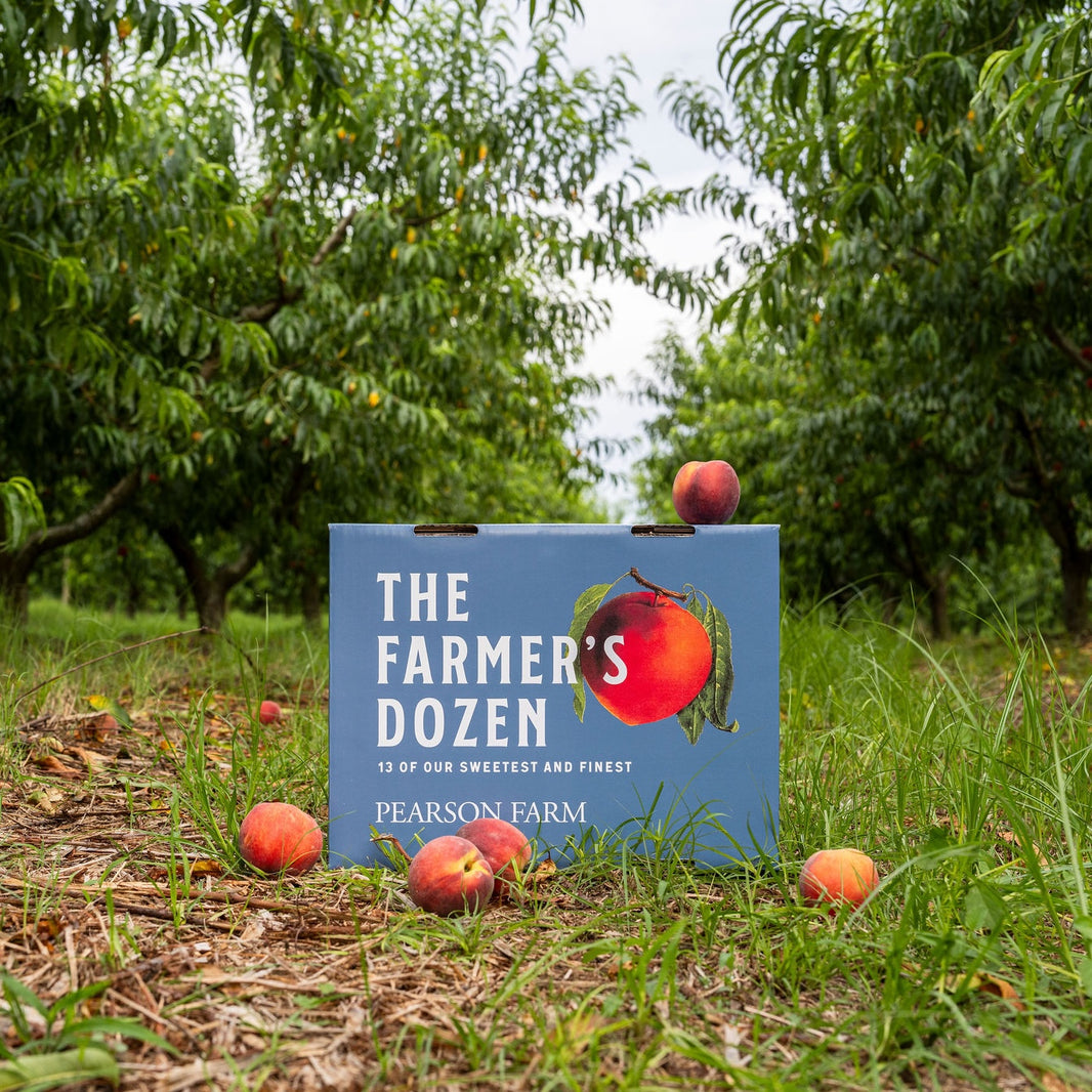 Buy Fresh Georgia Peaches Online – Pearson Farm