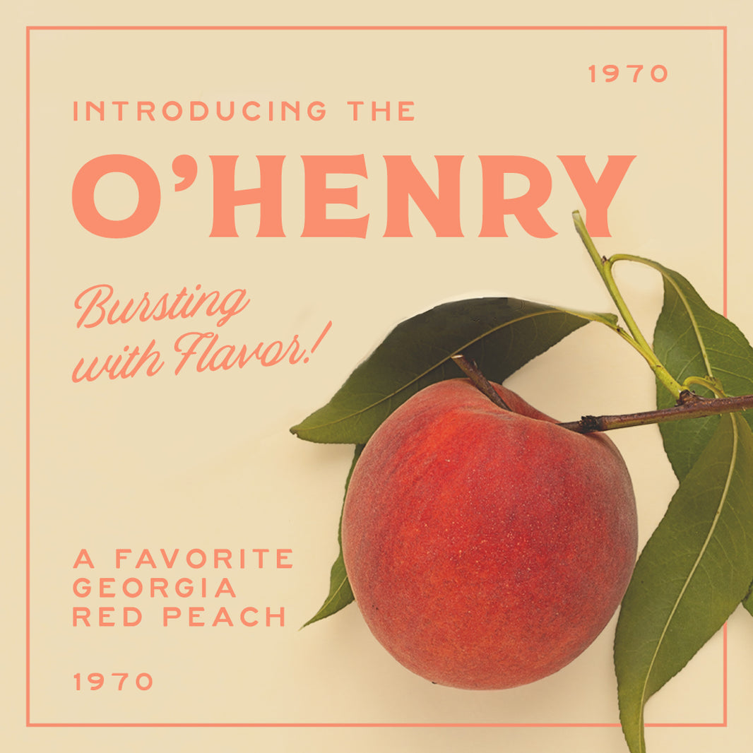 Buy Fresh Georgia Peaches Online – Pearson Farm