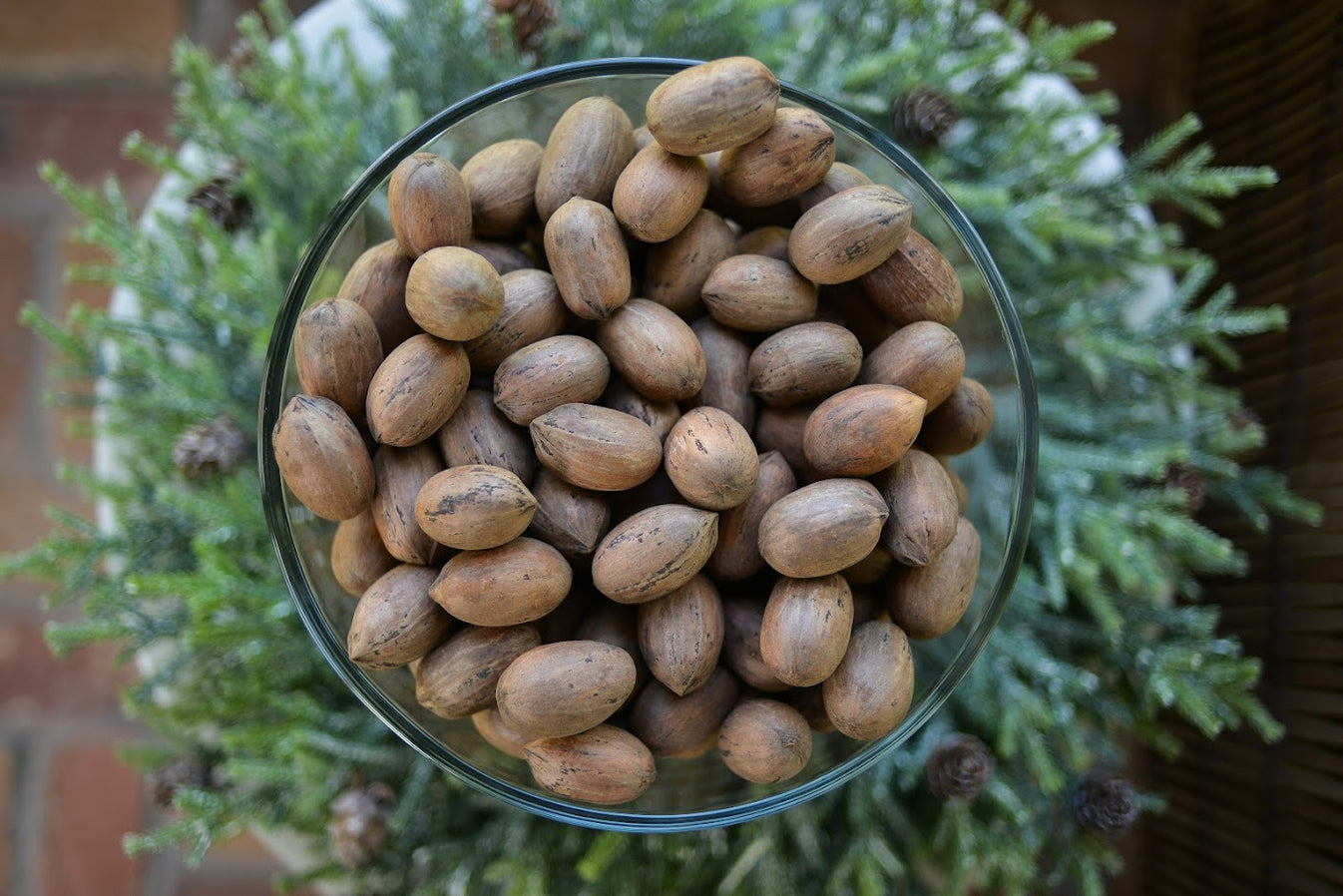 Schley In-Shell Pecans – Pearson Farm