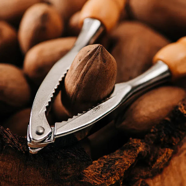 Desirable In-Shell Pecans – Pearson Farm